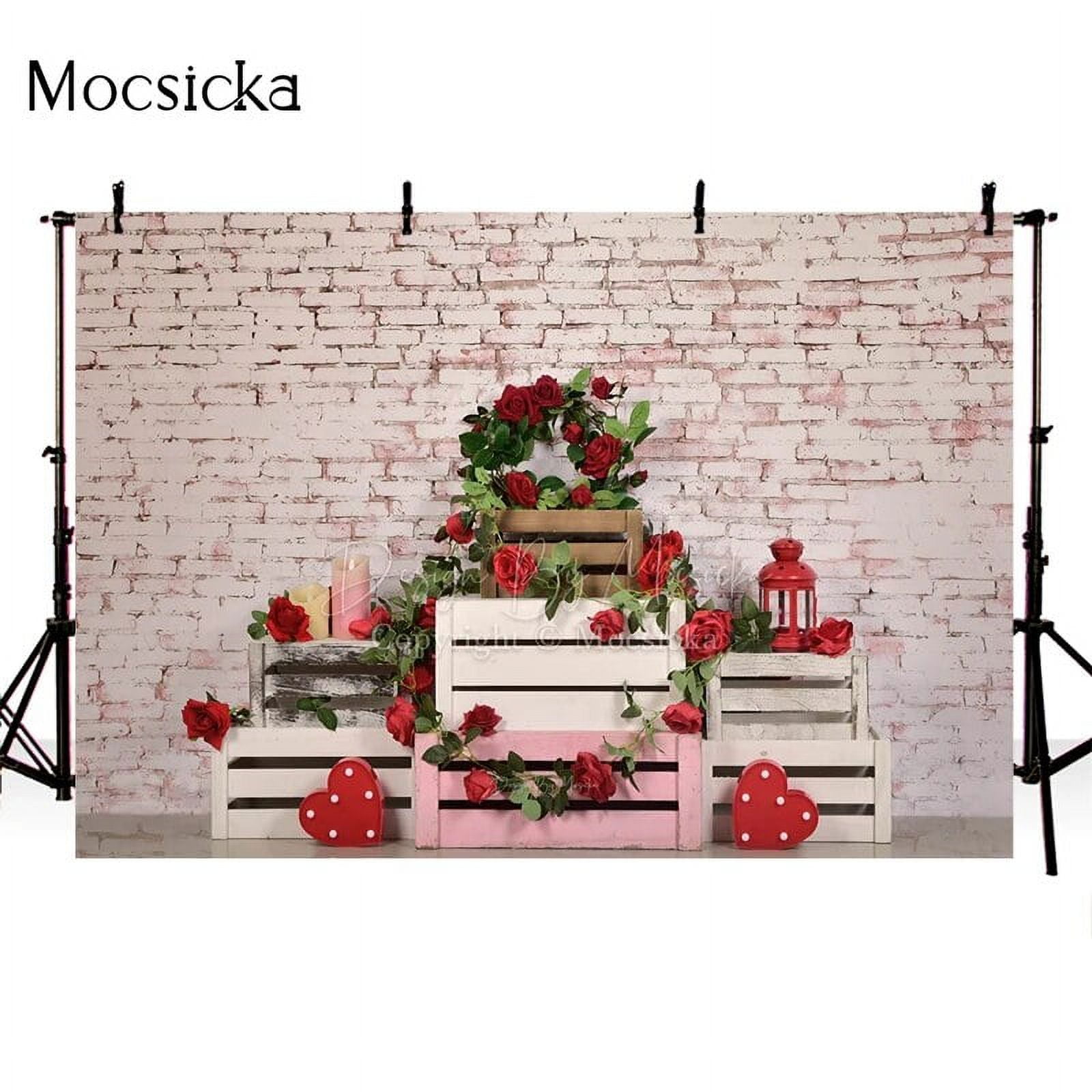 February 14th Valentine's Day Photography Backdrops Child Portrait ...