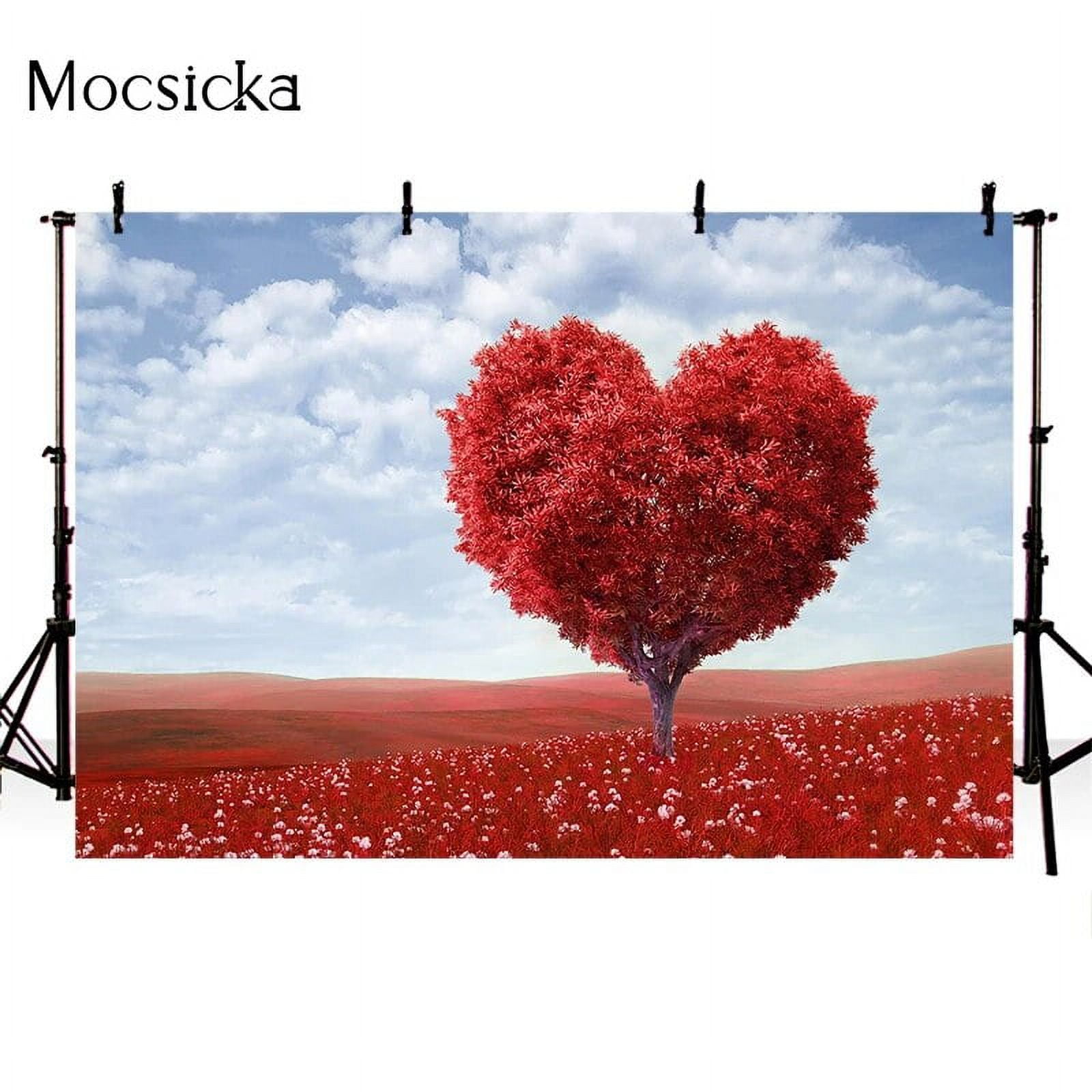 February 14th Valentine's Day Photography Backdrops Wedding Decoration ...