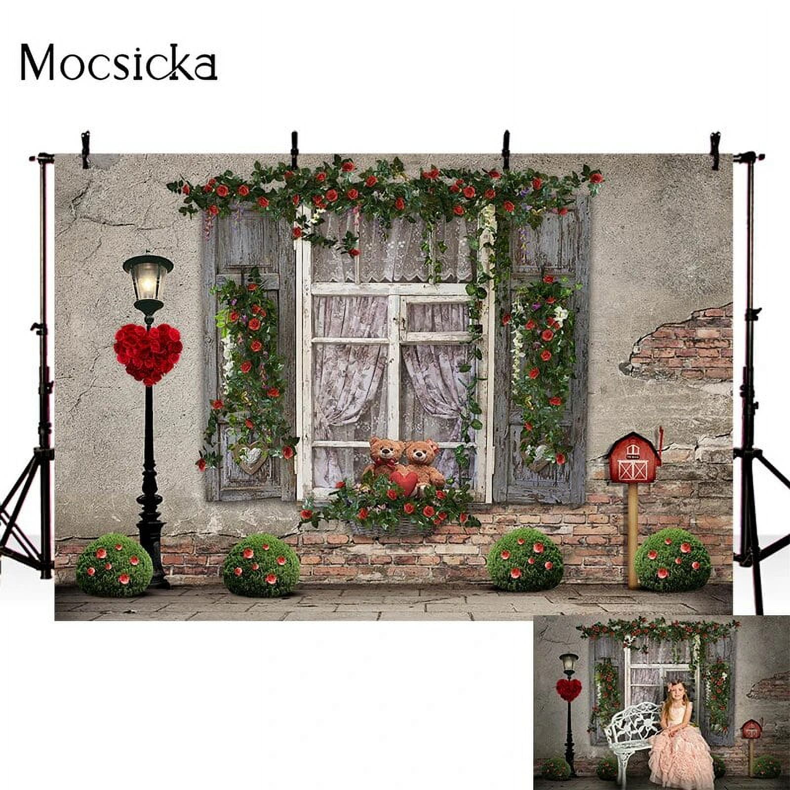 February 14th Valentine's Day Photography Backdrops Wedding Decoration ...