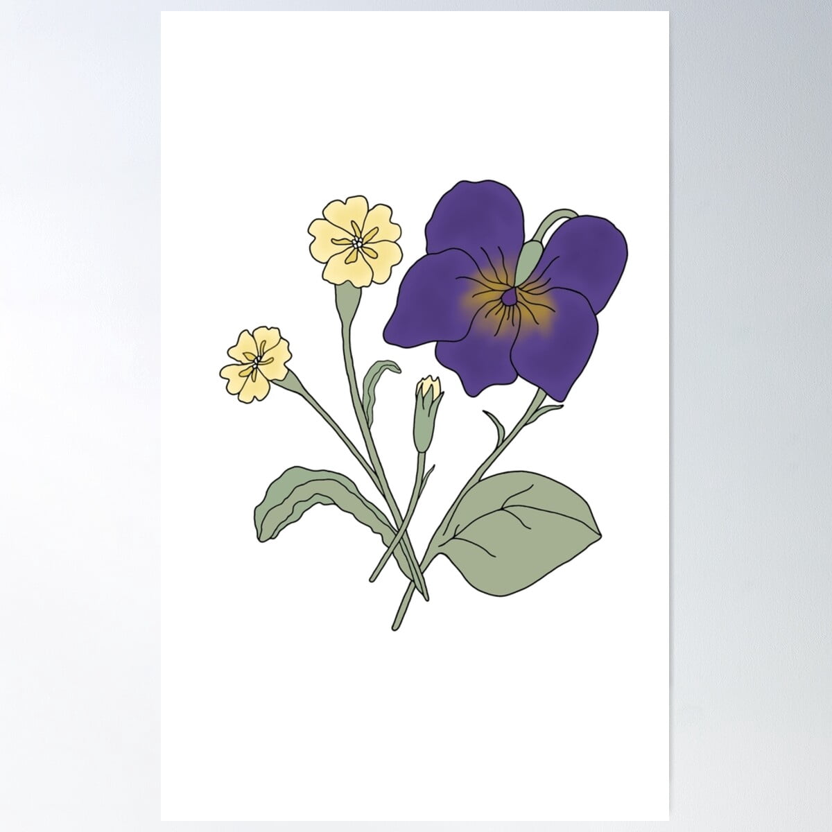 February Birth Flowers: Primrose And Violet (Isolated) Poster Wall Art ...