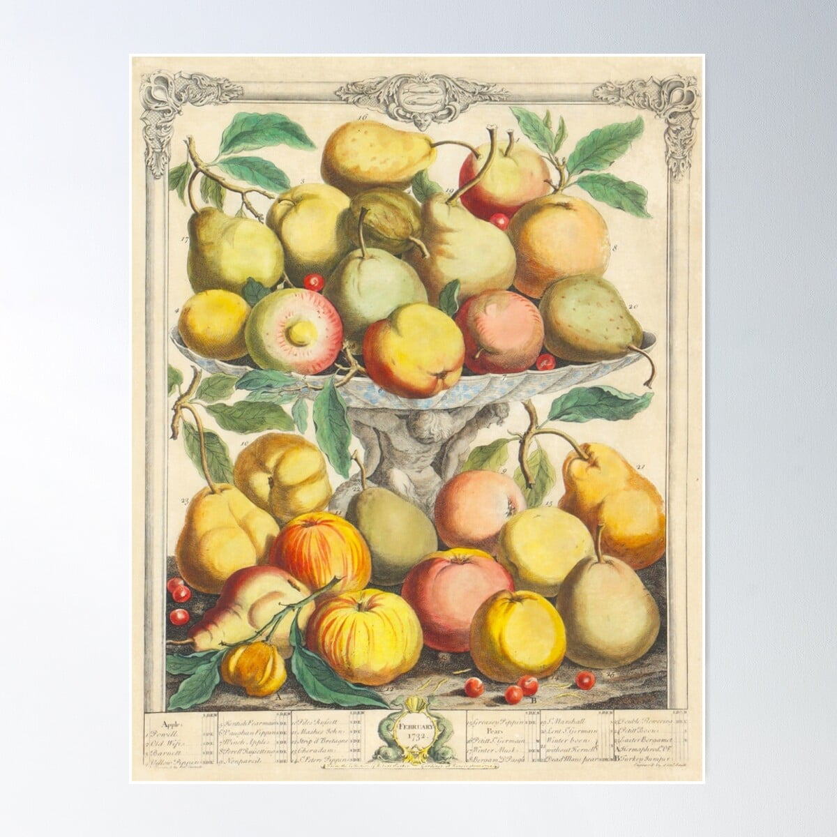 February, From The Twelve Months Of Fruits, By Robert Furber (1732 ...
