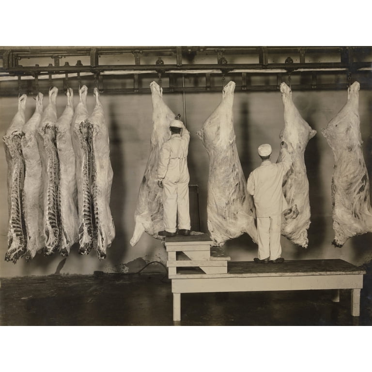 Unsanitary Meat Packing Industry 1900s