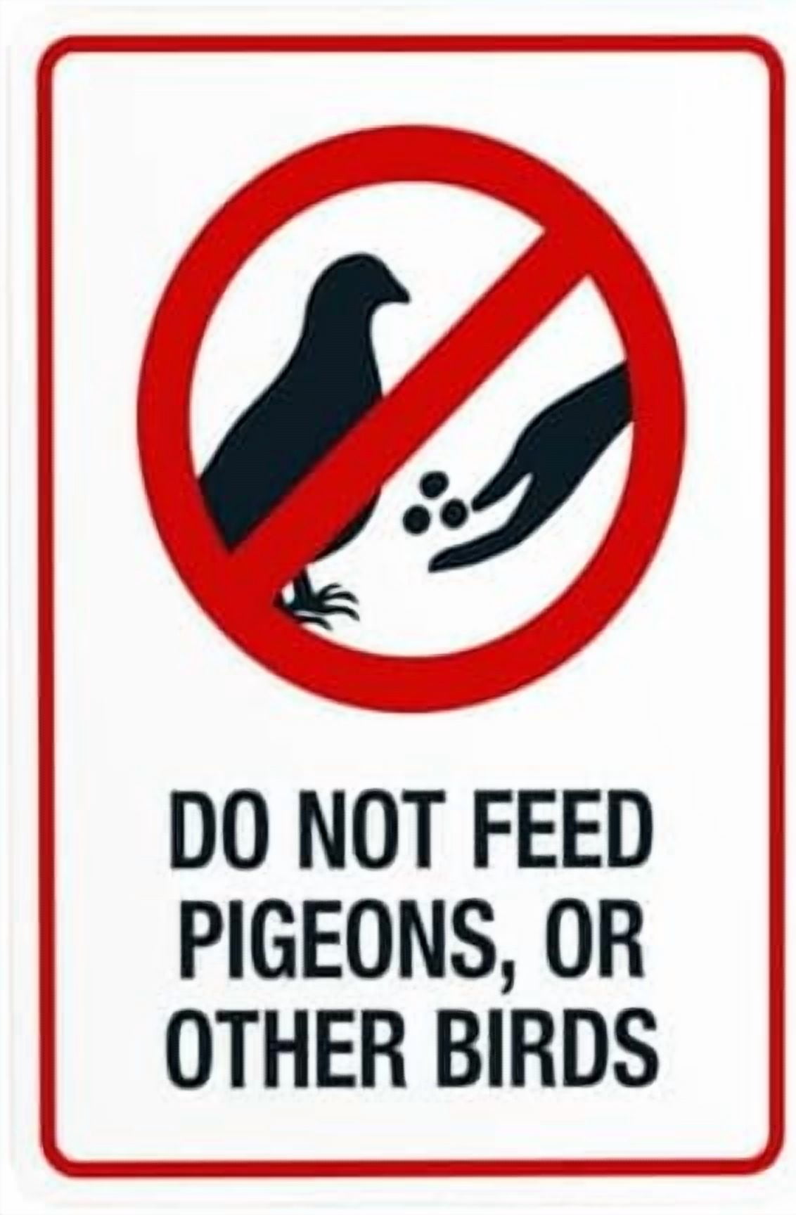 Do Not Feed Pigeons Or Other Birds Warning Sign, Security Metal Signs ...