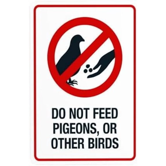 Do Not Feed Pigeons Or Other Birds Warning Sign, Security Metal Signs ...