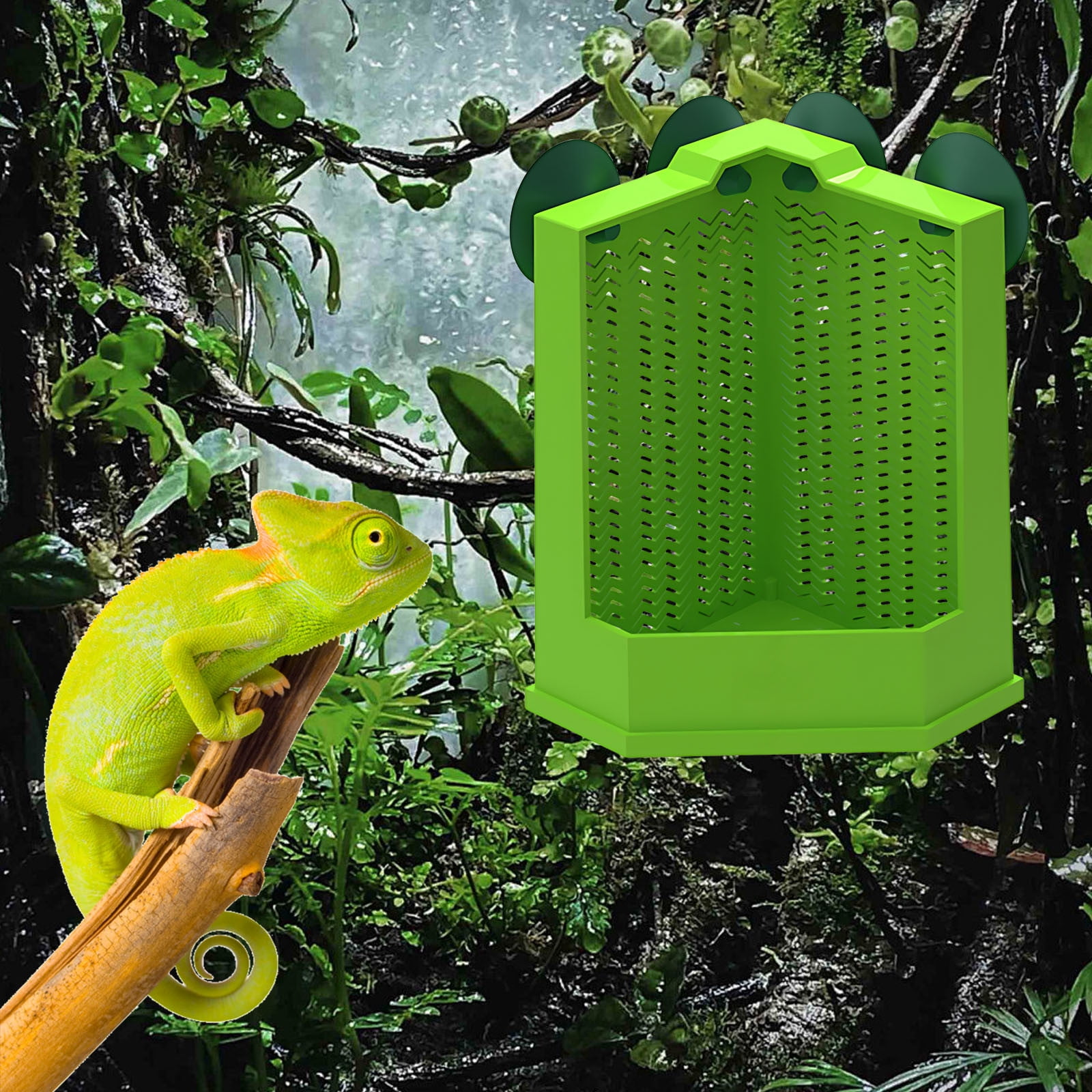 Feeder Bowl with Suction Cups | Hanging Feeding Dish for Lizard, Gecko ...