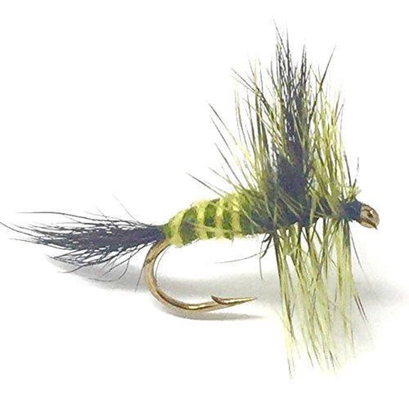 Feeder Creek Fly Fishing Flies - One Dozen Stonefly Nymphs - Black or ...