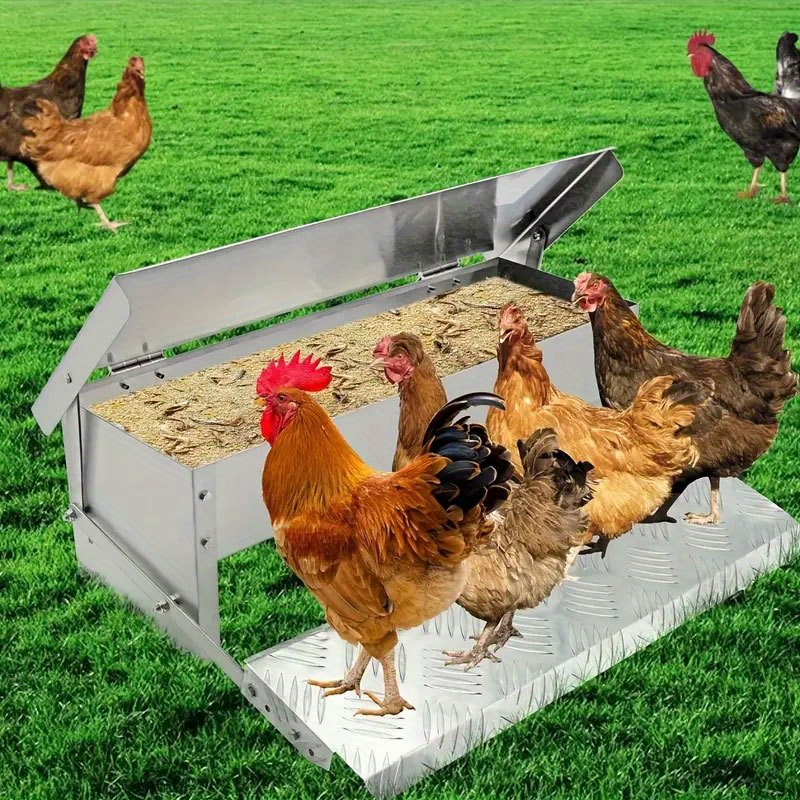 Feeders Automatic Chicken Feeders- Long Acting Galvanized Poultry ...