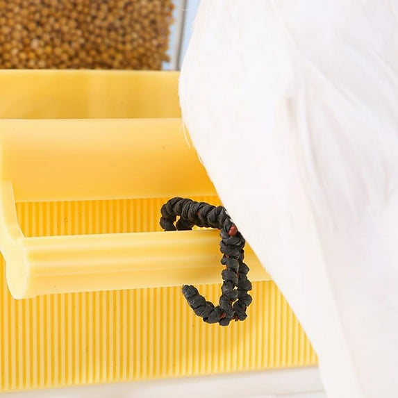 Feeding Device Scattering And Rice Husk Separation Food Box Automatic ...