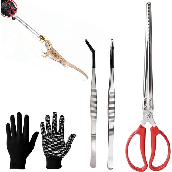 Feeding Tongs, Reptile Feeding Tongs for Snakes, Lizard, 3PCS Stainless ...