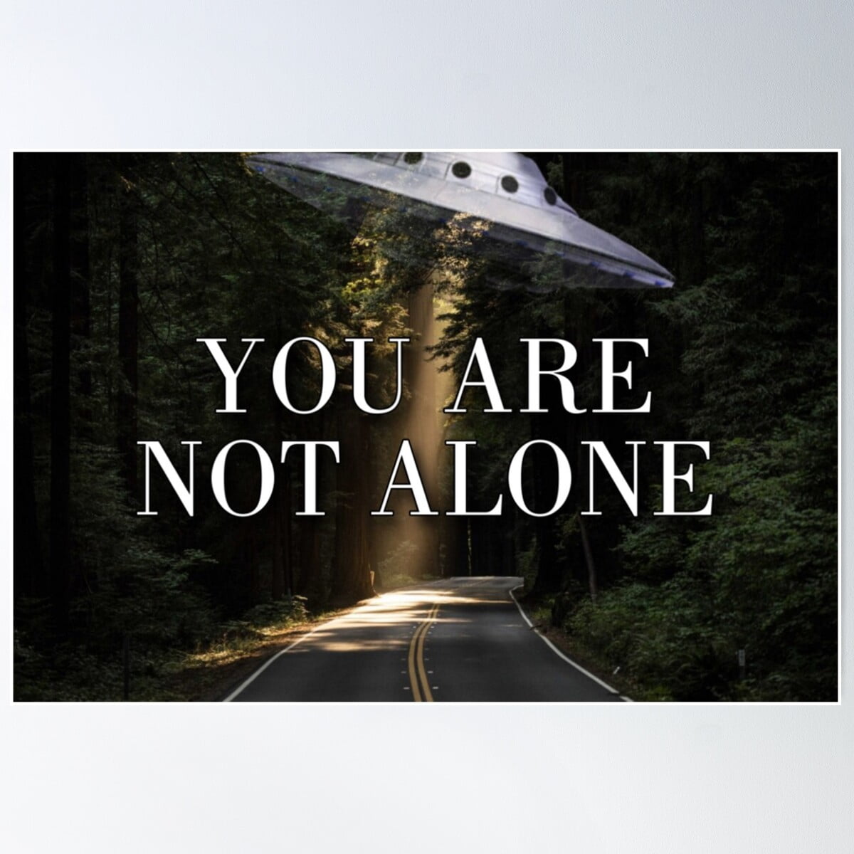 Feeling Lonely? Poster Wall Art, Modern Wall Decor For Living Room ...