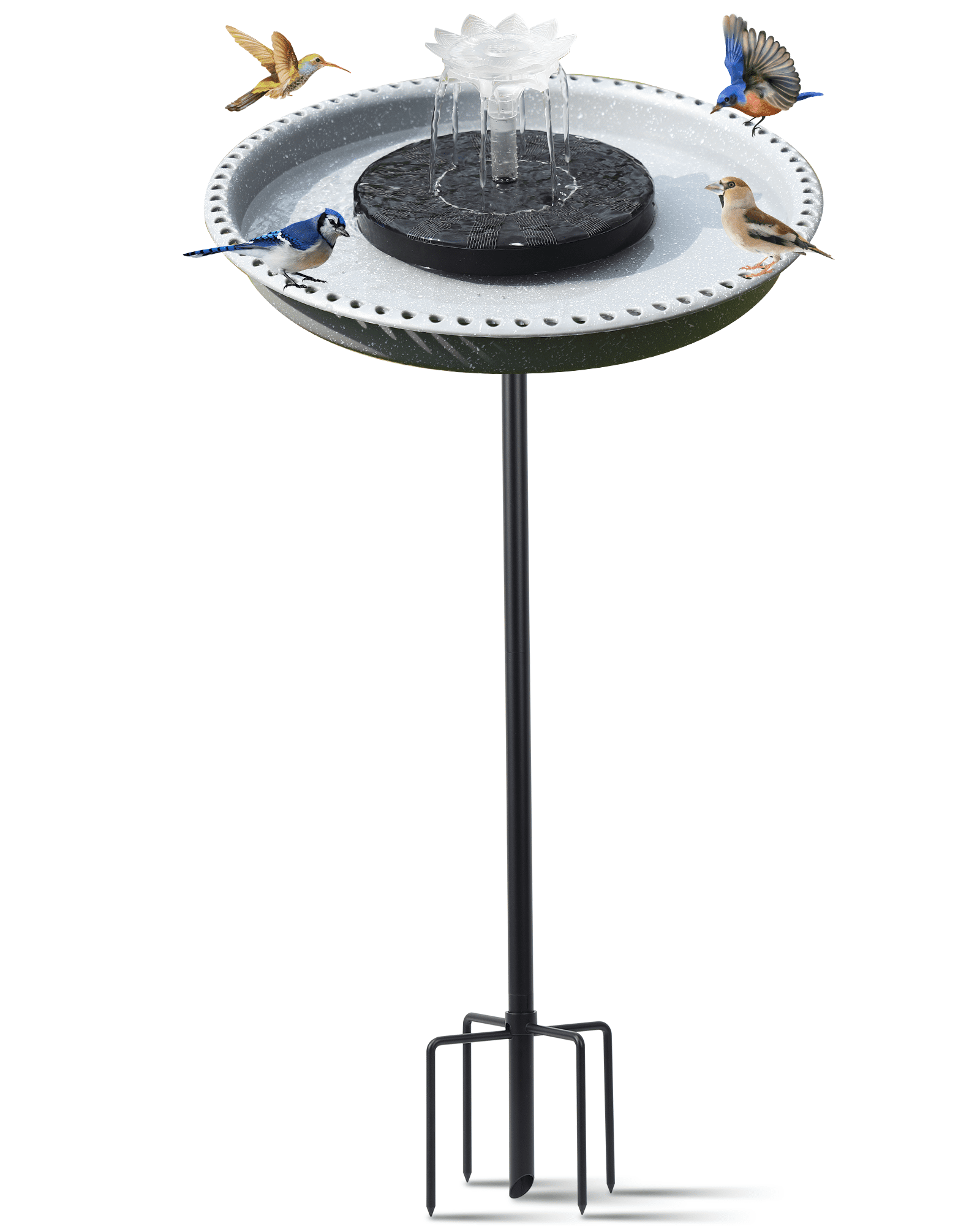 Solar Powered Bird Bath Fountains for Hummingbirds,Stable Stylish ...