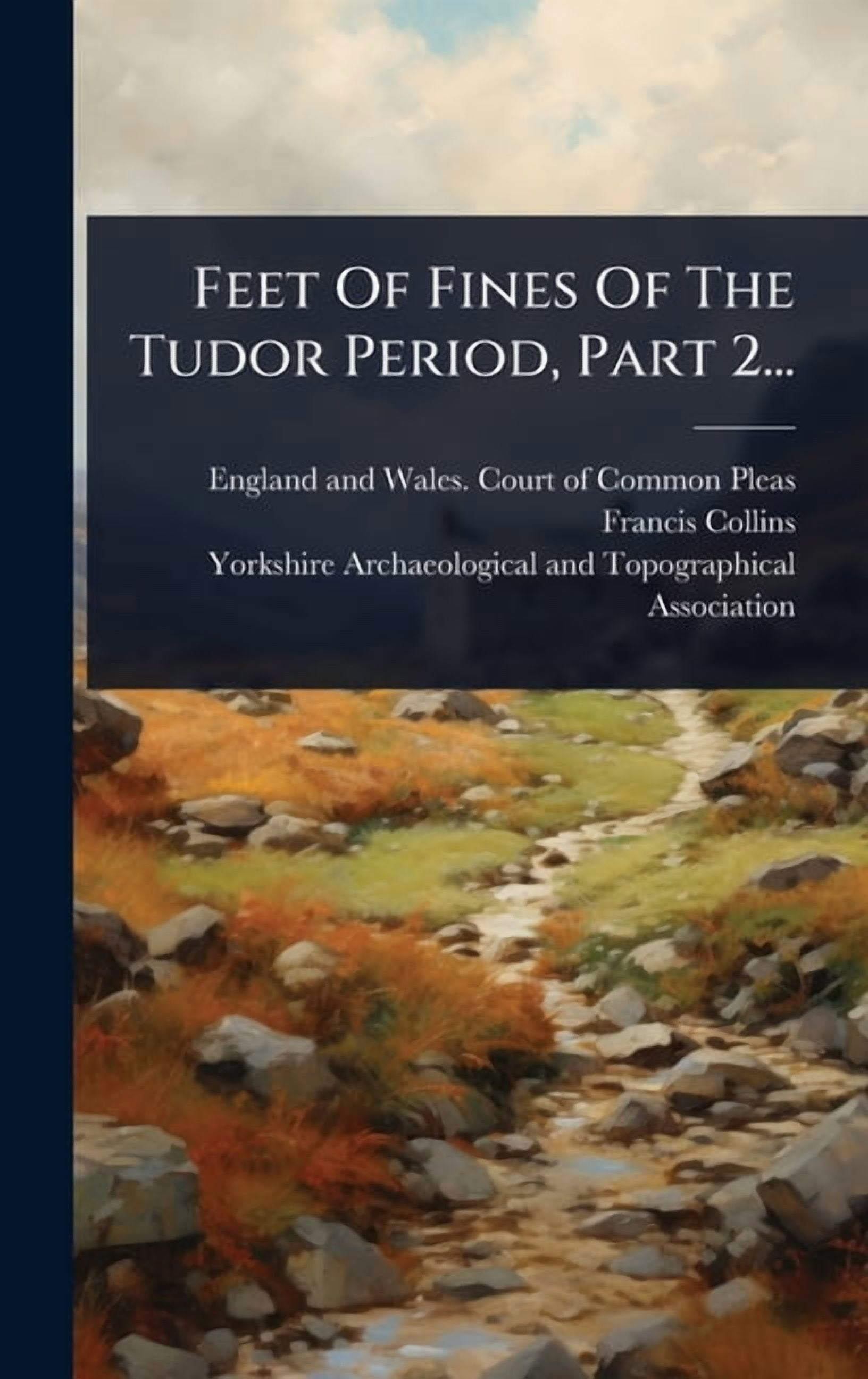 Feet Of Fines Of The Tudor Period, Part 2..., (Hardcover) - Walmart.com