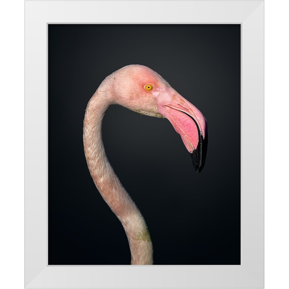 Fegari 26x32 White Modern Wood Framed Museum Art Print Titled - F L A M ...