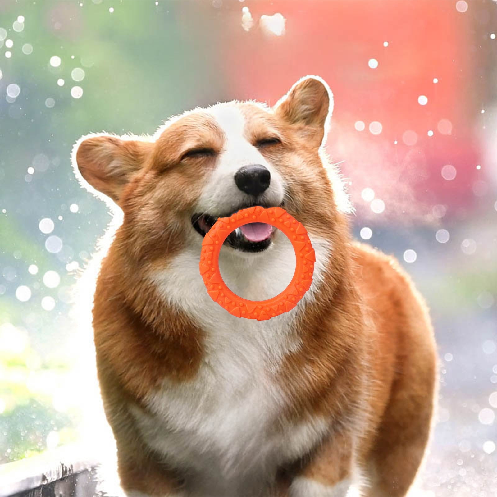 FeiFu Indestructible Dog Chew Ring Toy Durable Rubber Teething Training ...