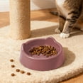 FeiFu Large Capacity Cats Bowls, Cute Pet Food and Water Bowls Elevated ...