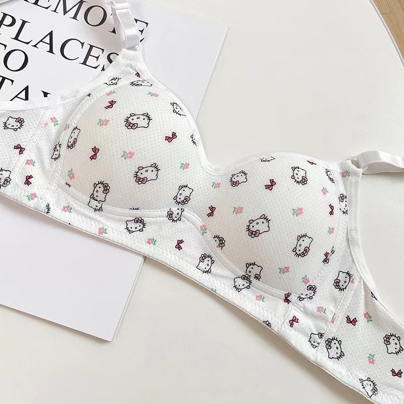 FeiKong 2024 Hello Kitty Bra Sanrio Women Underwear Female Push Up ...
