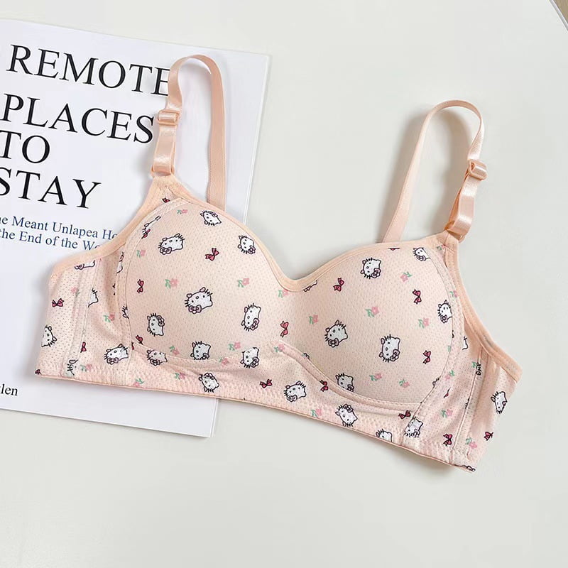 FeiKong 2024 Hello Kitty Bra Sanrio Women Underwear Female Push Up ...