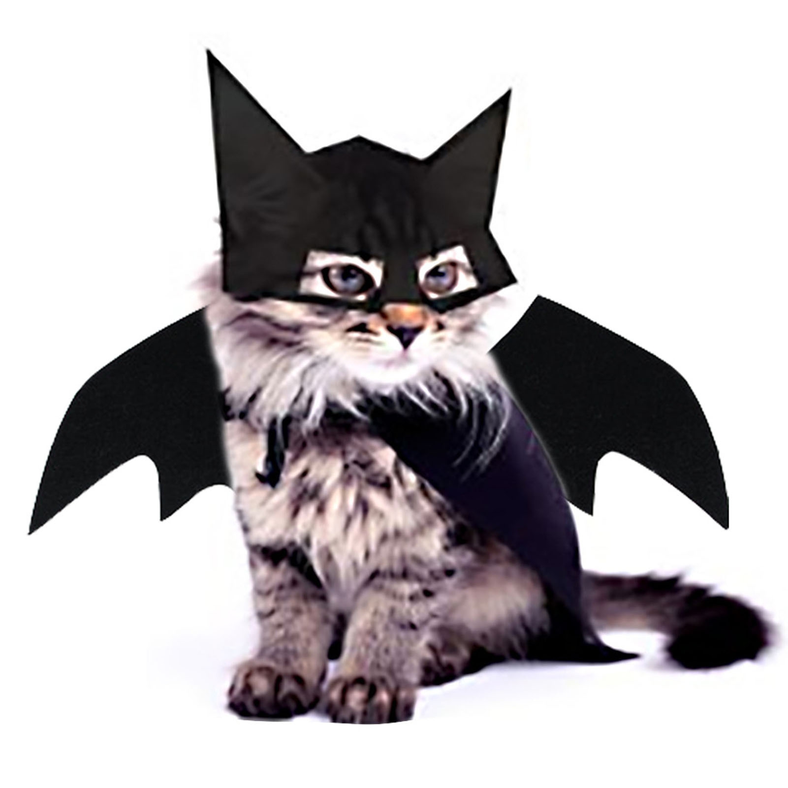 Feierber Dog Halloween Costumes Bat Costume for Pet Bat Wings And Hat ...