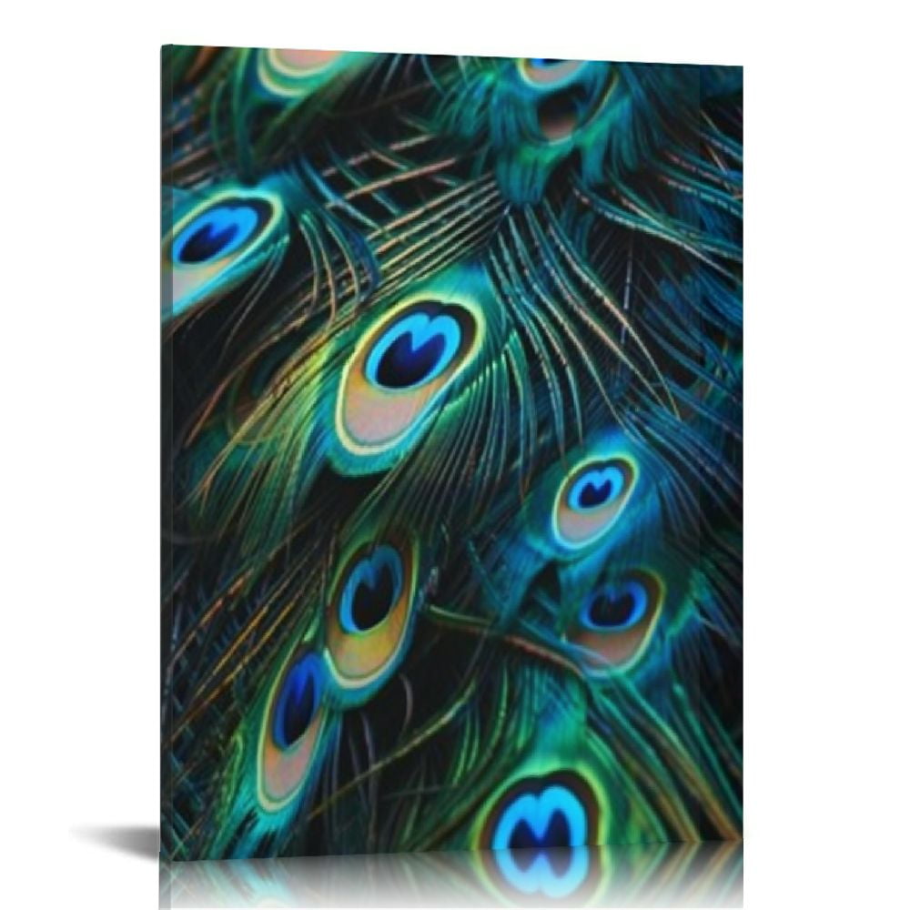 Feiri Beautiful Peacock Feather Canvas Wall Art Aesthetic Peacocks ...