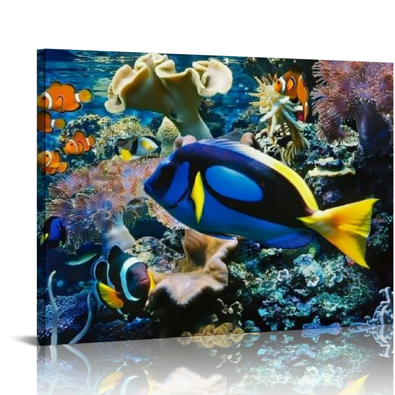 Feiri Blue Tang Clownfish Wall Art Tropical Fish Picture Wall Decor ...
