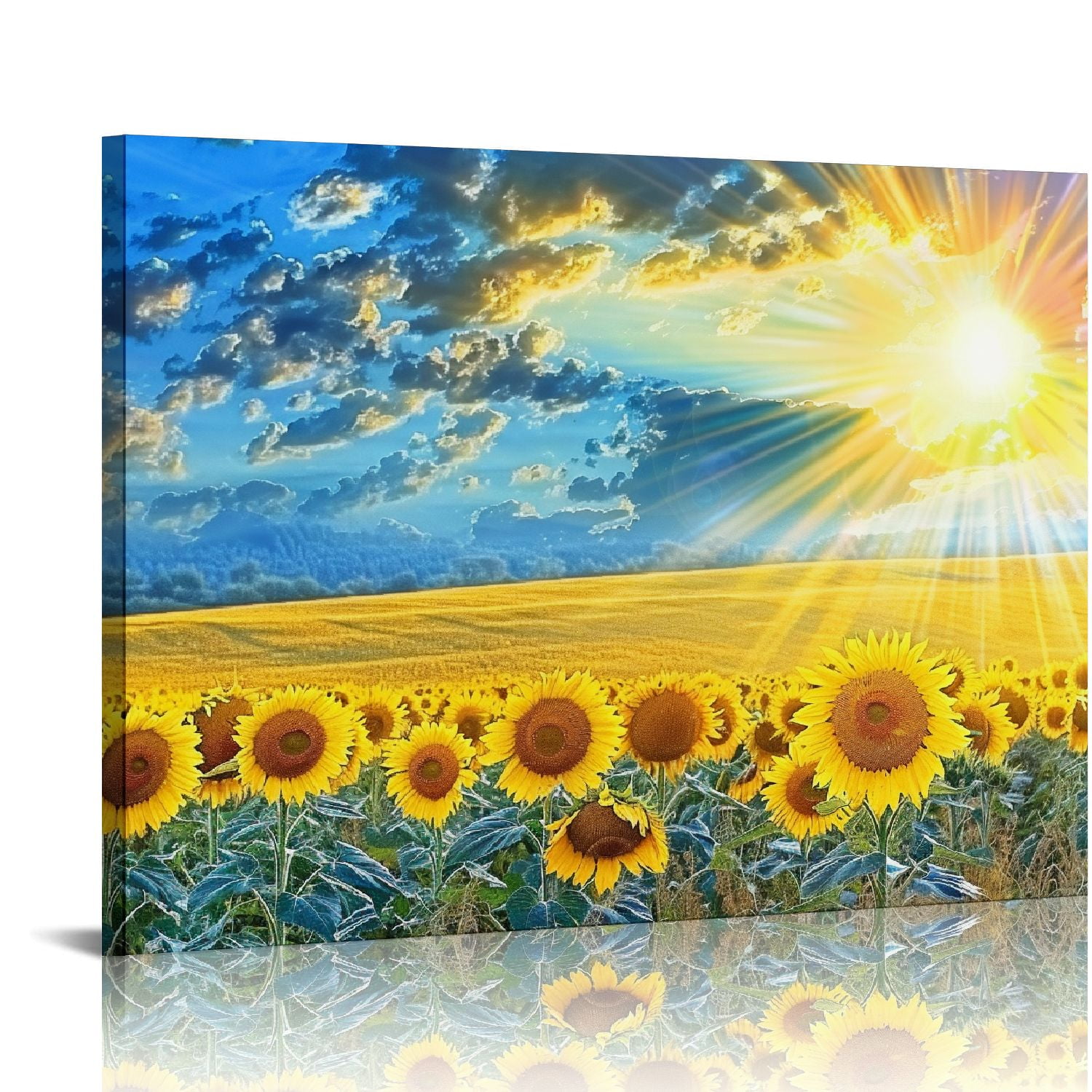 Feiri Canvas Print Wall Art Sunlight Shines on Sunflower Field Floral ...