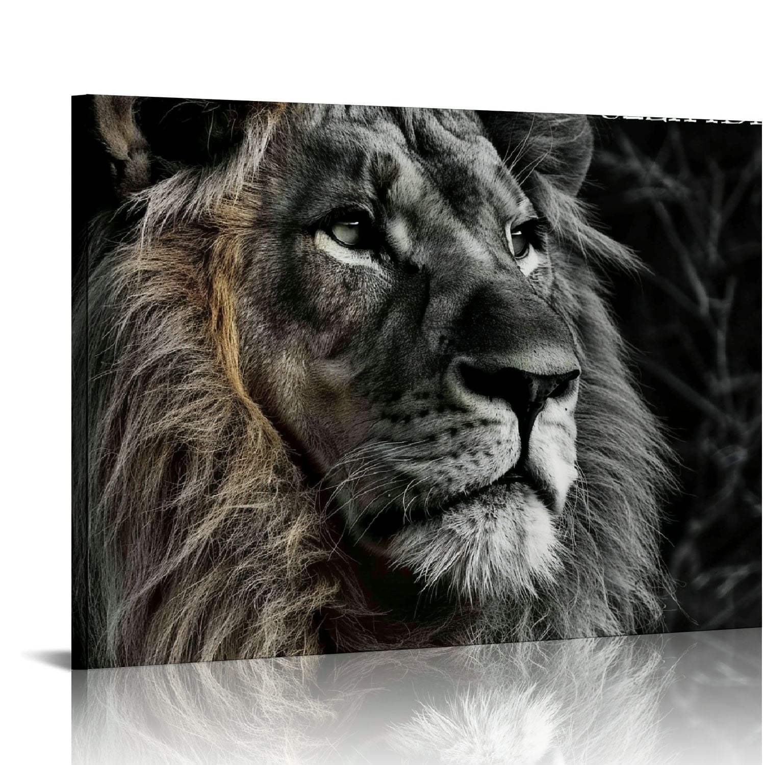 Feiri Motivational Canvas Wall Art Inspirational Positive Affirmation ...