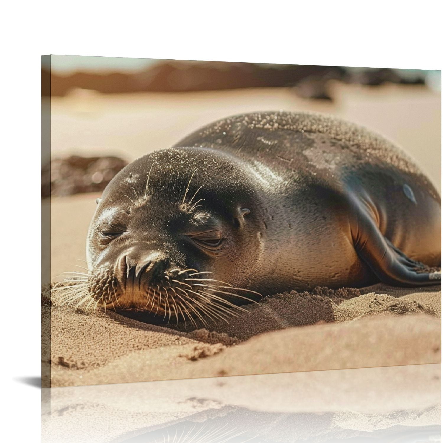 Feiri Sea Lions Beach Sand Animal Room Aesthetics Posters Canvas ...