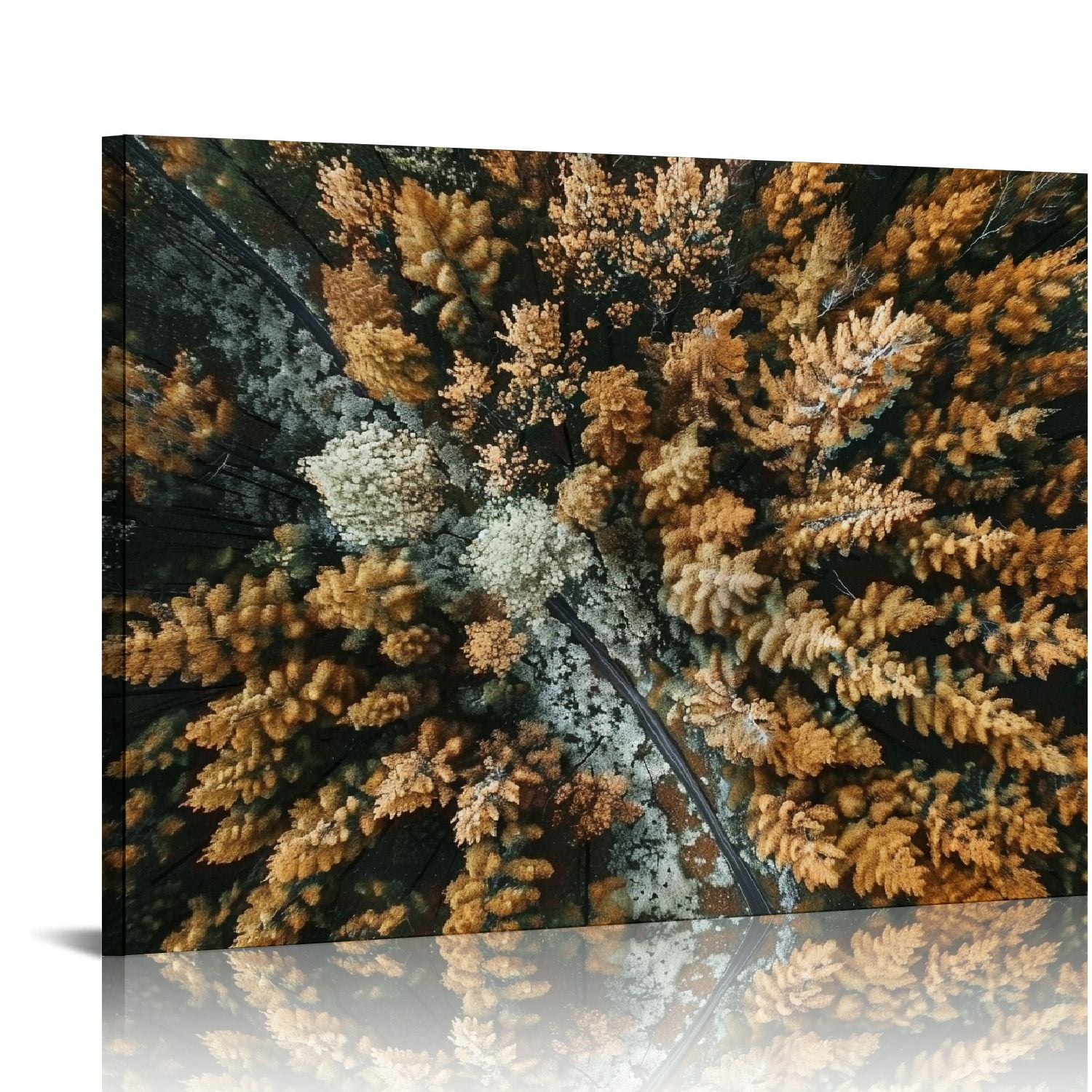 CMMY Trees Landscape Canvas Wall Art - Nature Looking Down the trees ...