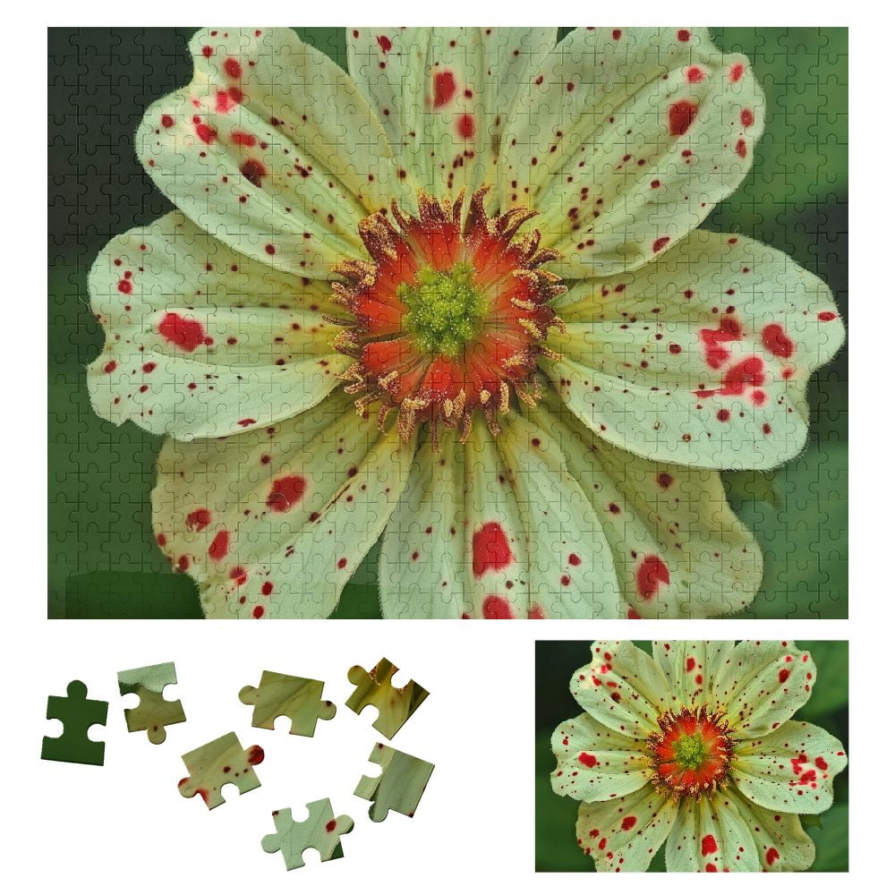 Feiri Wooden Jigsaw Puzzle Challenging Difficult Wood Puzzles for ...