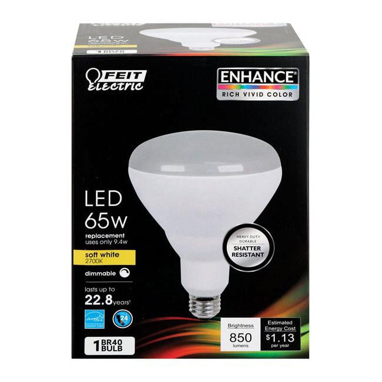 Feit 16W Electric LED Bulb Soft White, Soft White - Walmart.com