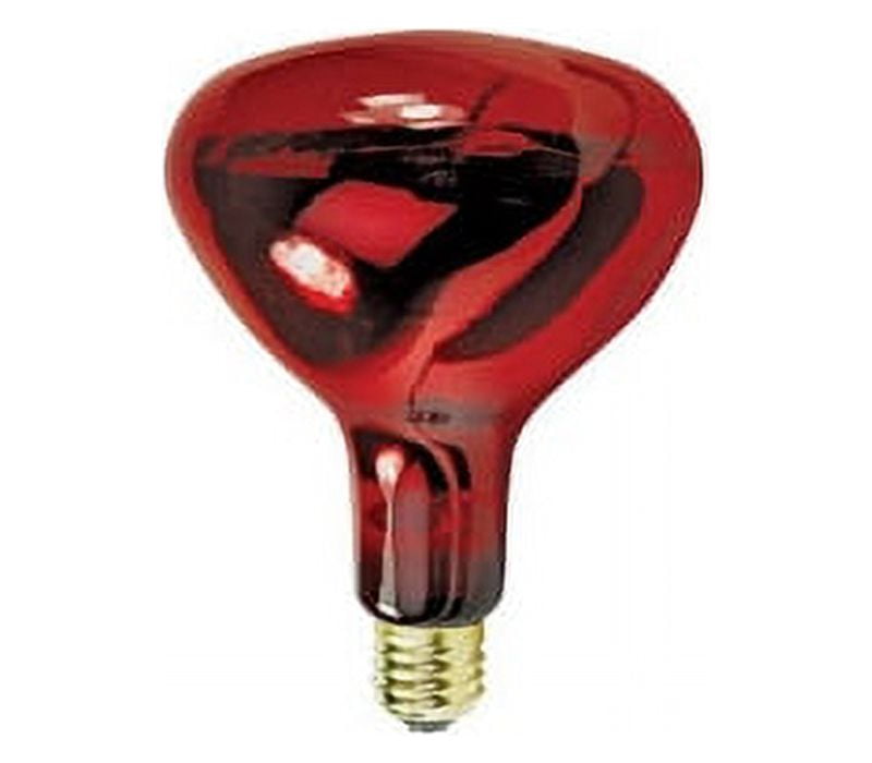 Feit Electric 250R40/10 250 Watt Reflector Heat Lamps Infrared R40 Red ...