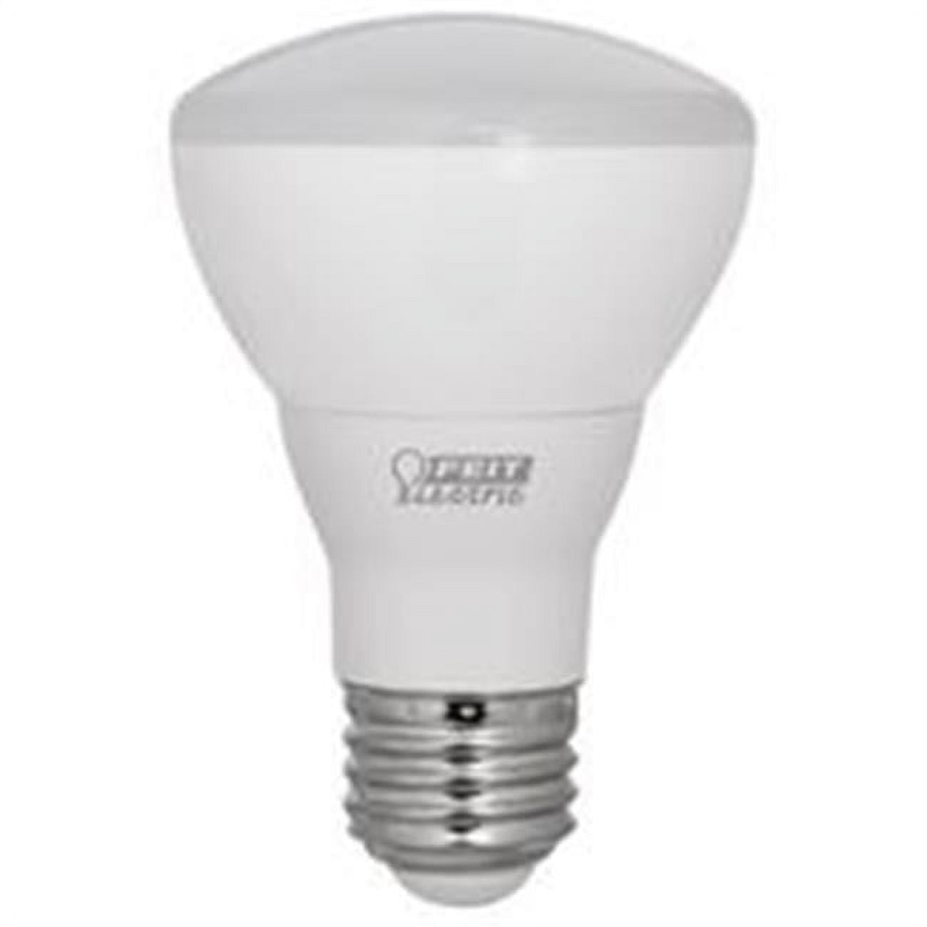 Feit Electric 8577926 R20 65K 12V Non-Dimmable Spa LED Bulb - Walmart.com