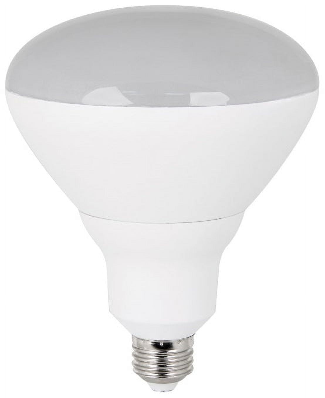 Feit Electric BR40DM10KLED2 Performance LED Light Bulb, 12.5 Watts ...