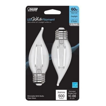 371000 25 Watt T10 Incandescent Clear E26 Medium Base Light Bulb with ...