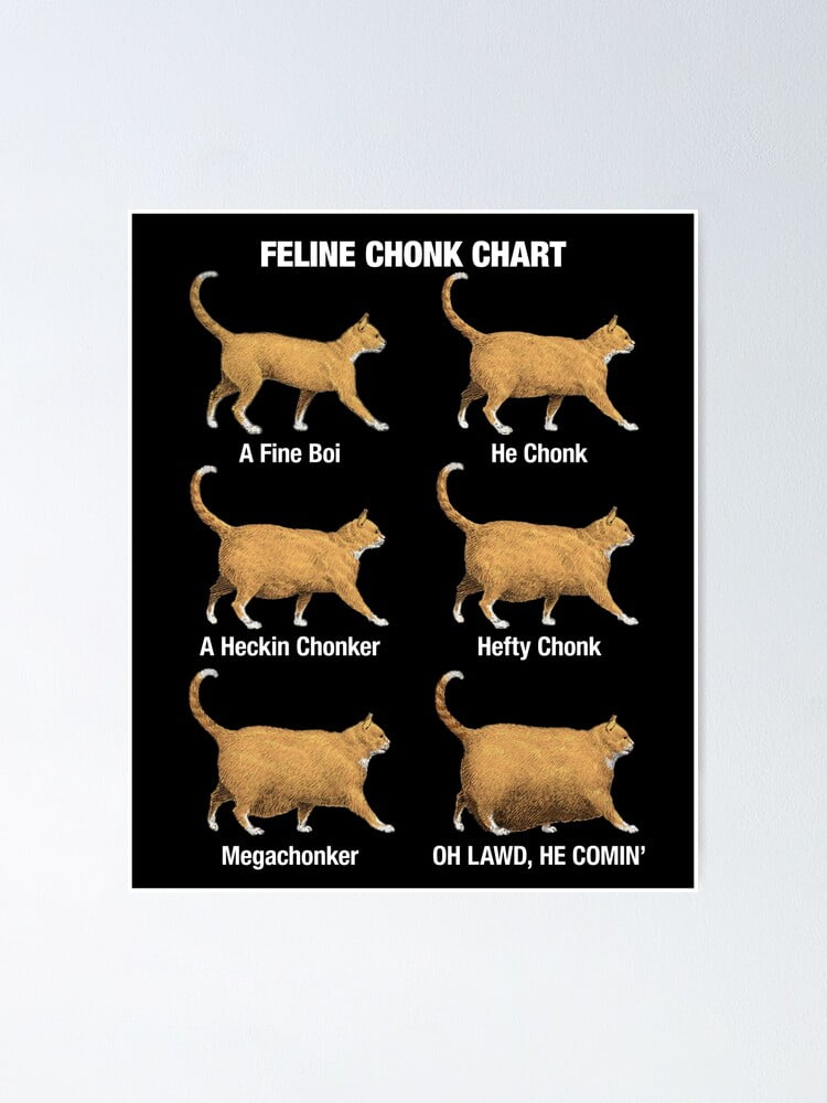 Feline Conk Chart, Funny Chonk Cat Meme Canvas Poster Decor Landscape ...