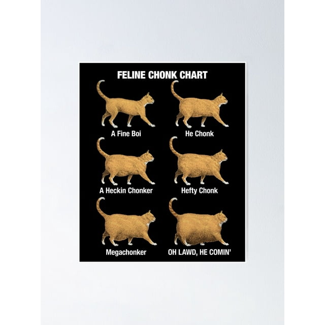 Feline Conk Chart, Funny Chonk Cat Meme Canvas Poster Decor Landscape ...
