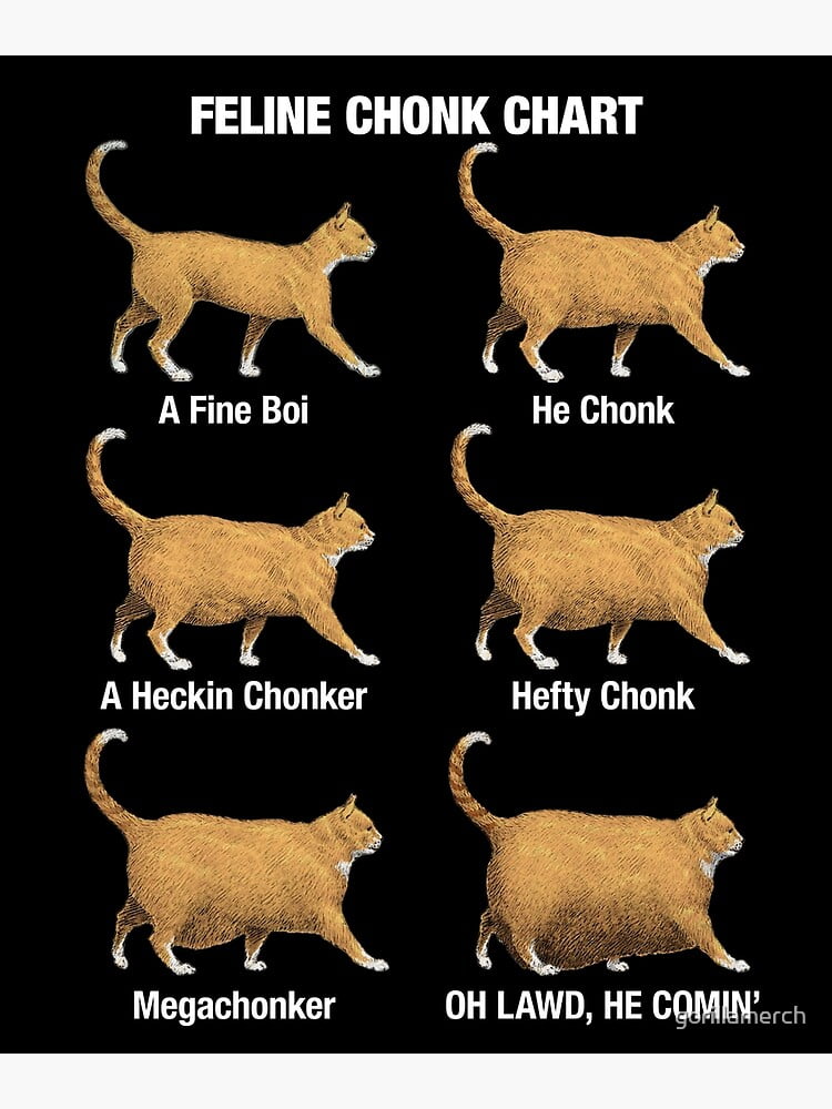 Feline Conk Chart, Funny Chonk Cat Meme Canvas Poster Decor Landscape ...