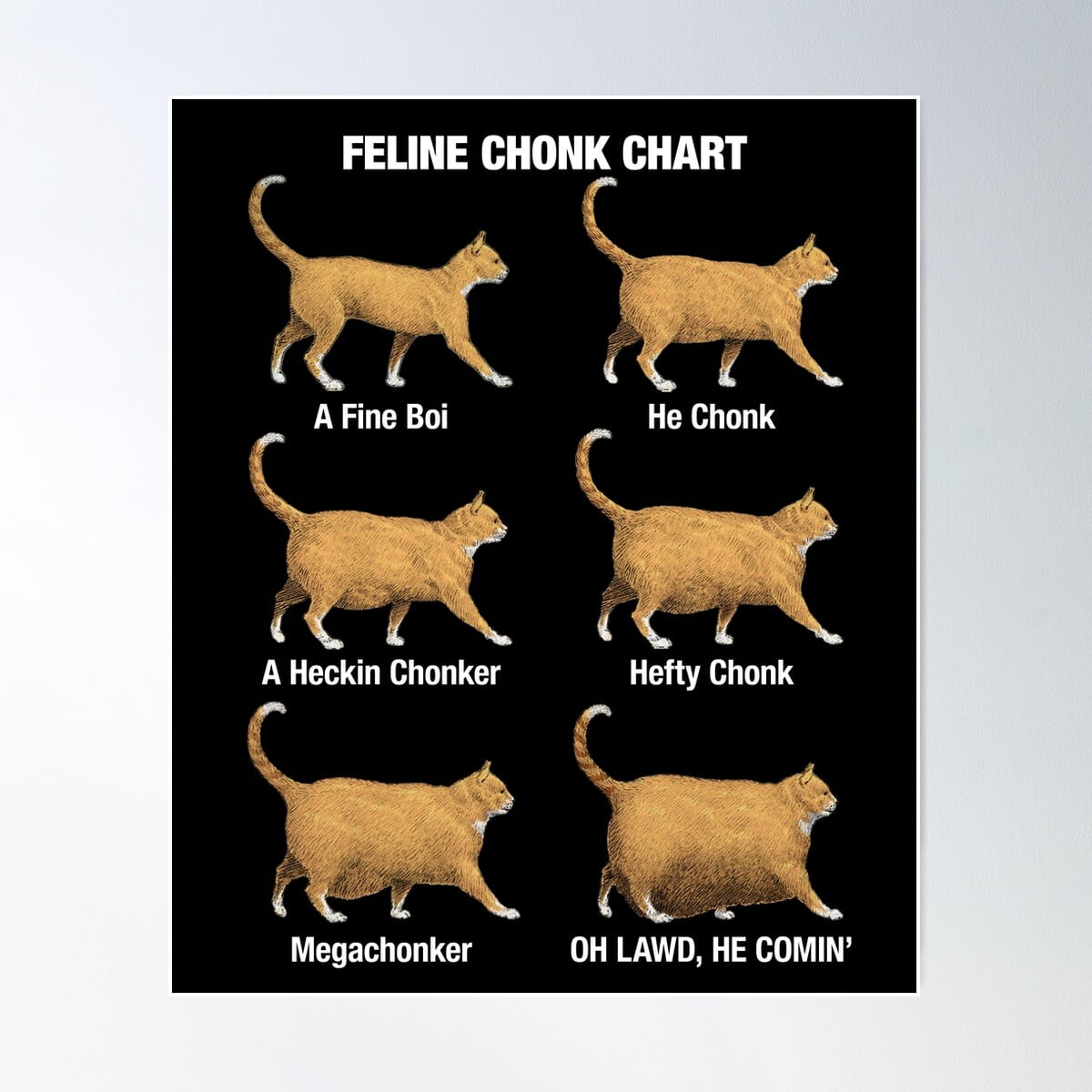 Feline Conk Chart, Funny Chonk Cat Meme Poster Wall Art, Modern Wall ...