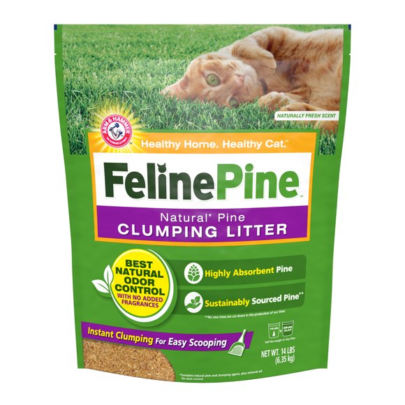 Feline Pine