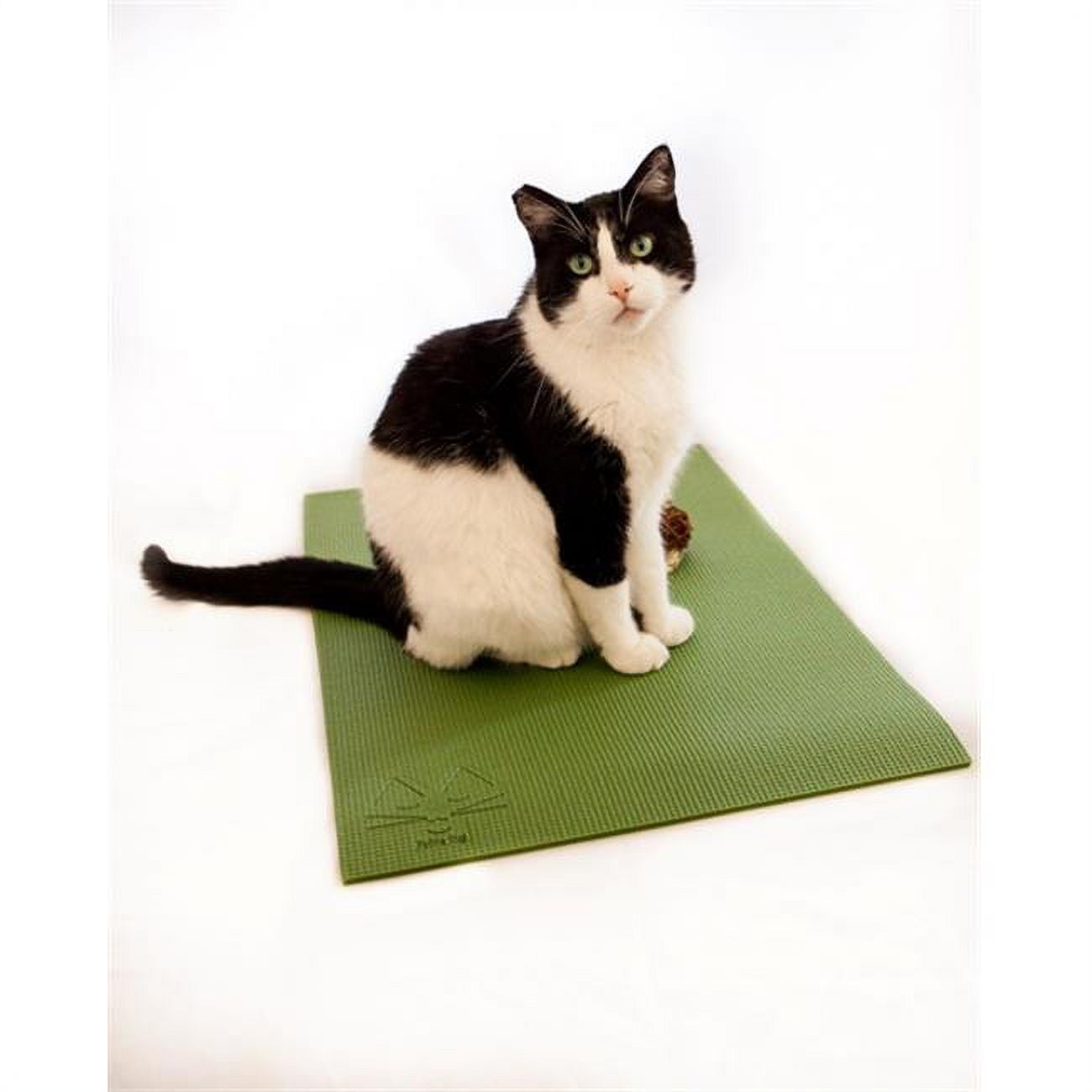 Feline Yogi 101-G Yoga Cat Mat Toy - Olive Green - Walmart.com
