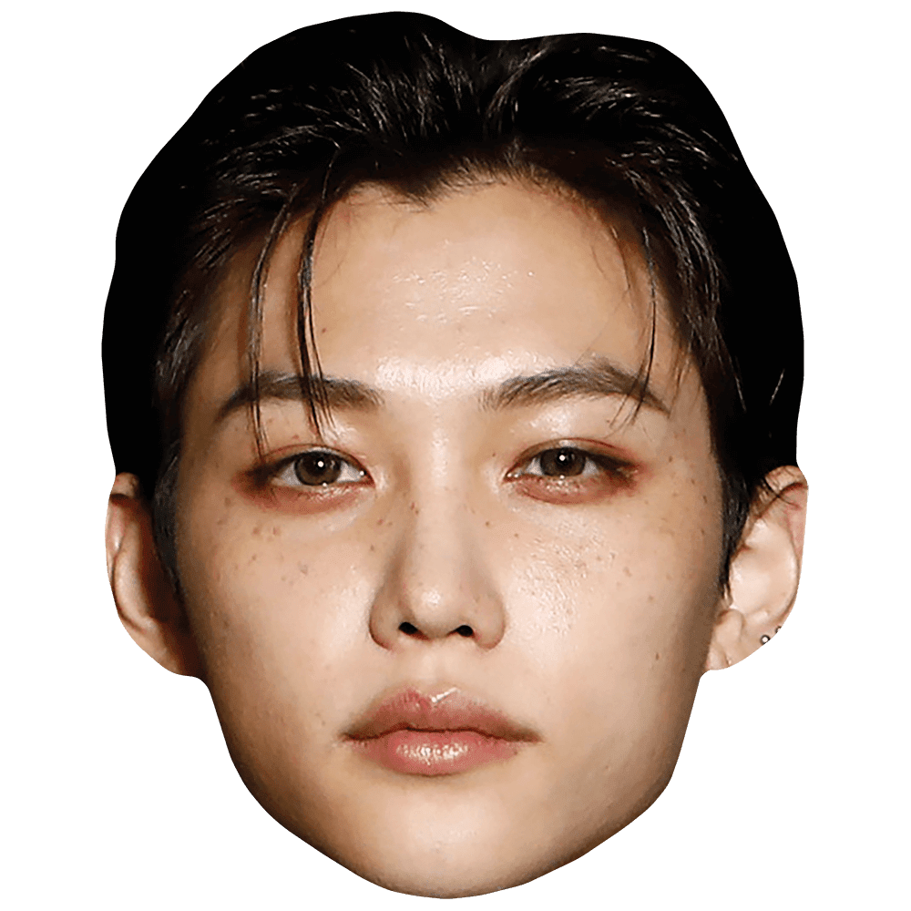Felix Lee (Dark Hair) Celebrity Mask, Flat Card Face, Fancy Dress Mask ...