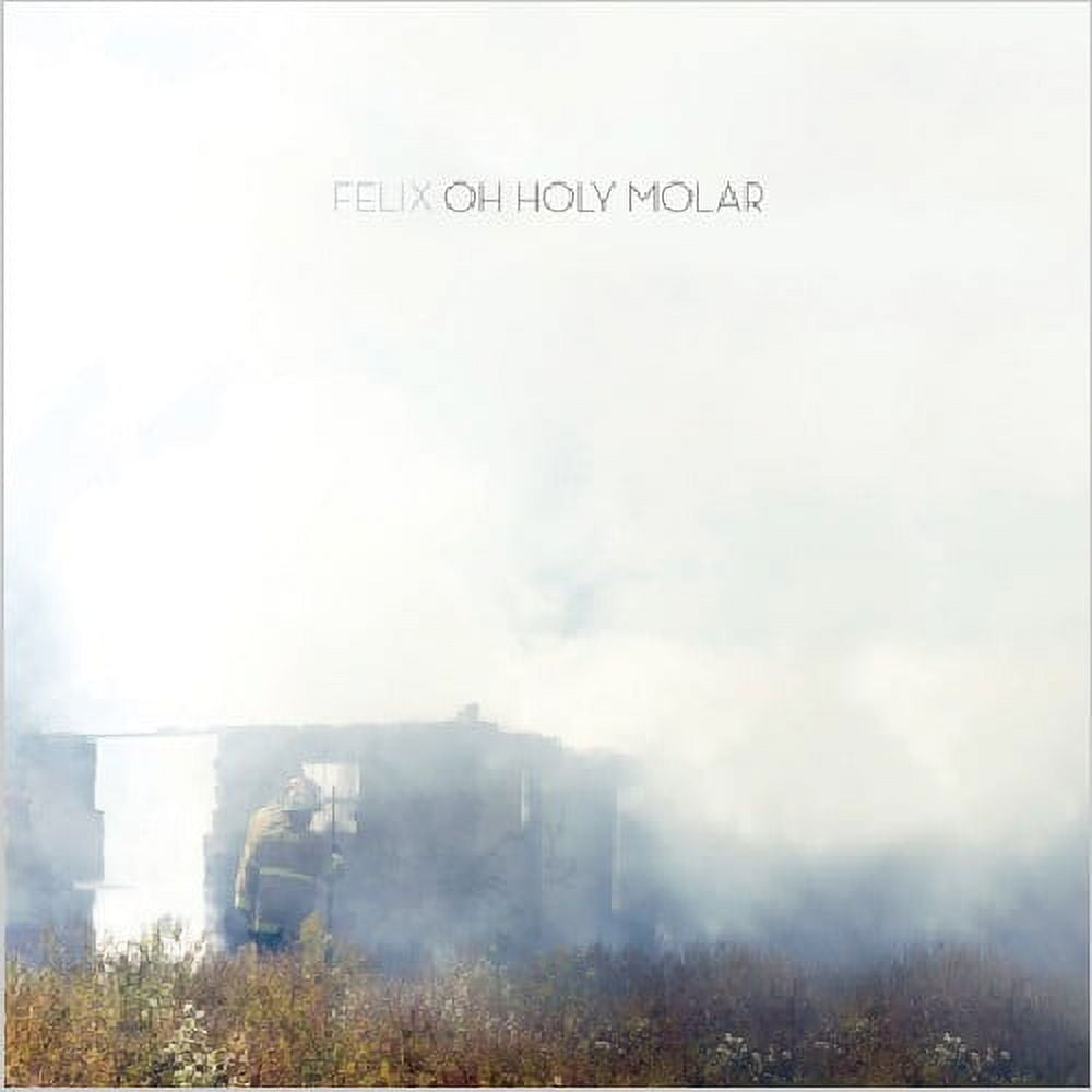Felix - Oh Holy Molar - Rock - CD - Walmart.com