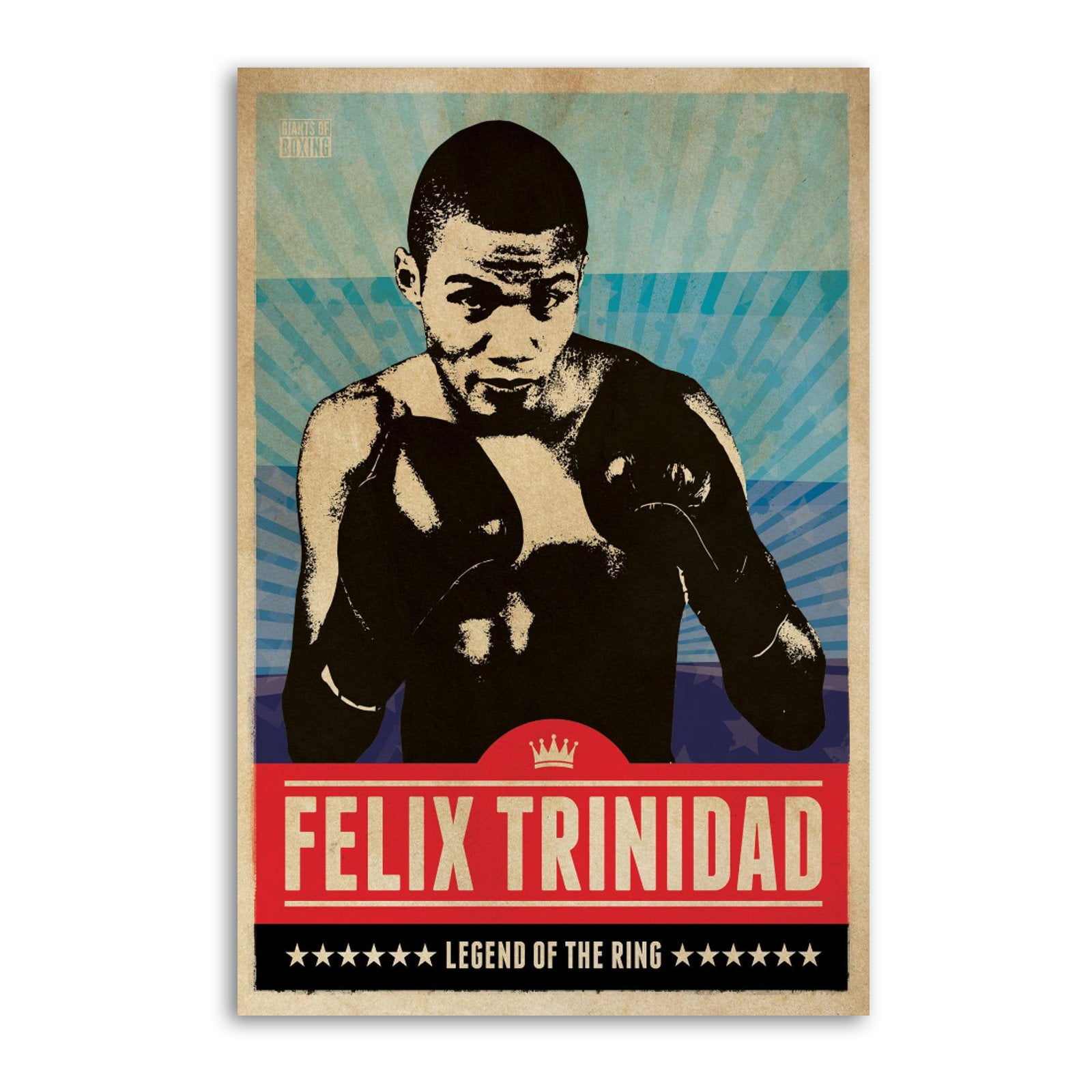 Felix Trinidad Boxing Poster Posters Art Print Wall Photo Paint Poster ...