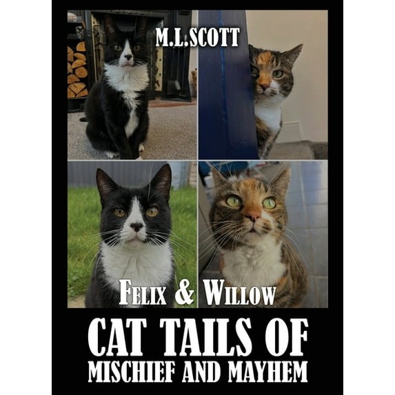 Felix & Willow cat tails of mischief and mayhem, (Hardcover) - Walmart.com