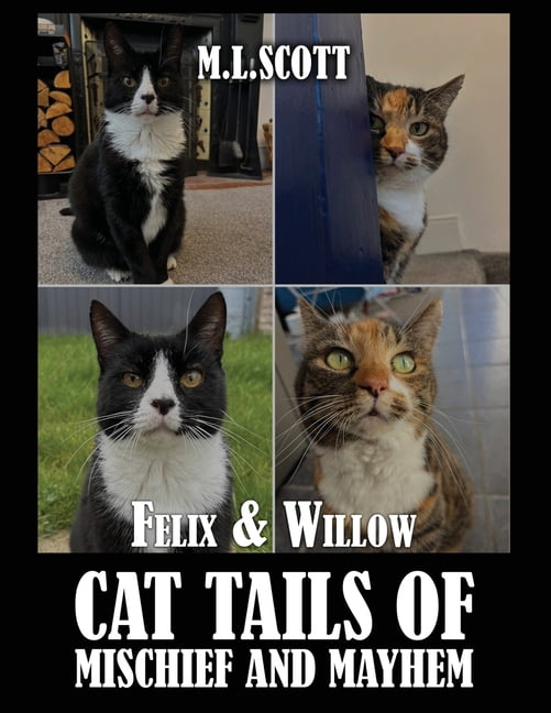 Felix & Willow cat tails of mischief and mayhem, (Paperback) - Walmart.com