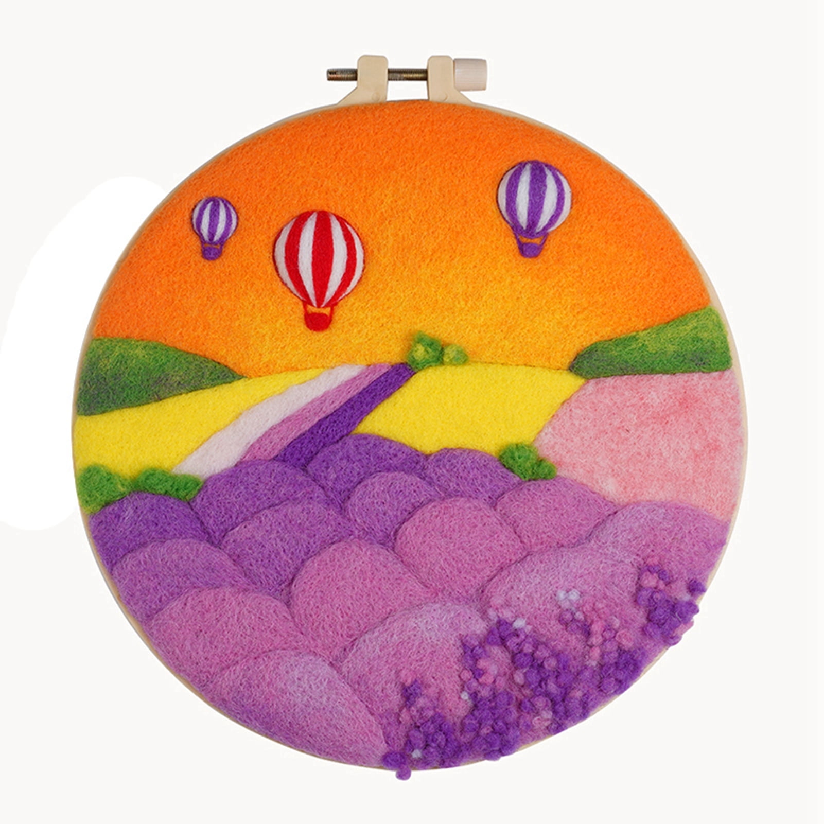 Feltsky Flower Needle Felting Kits Embroidery Hoop 8 inch Craft Kit for ...