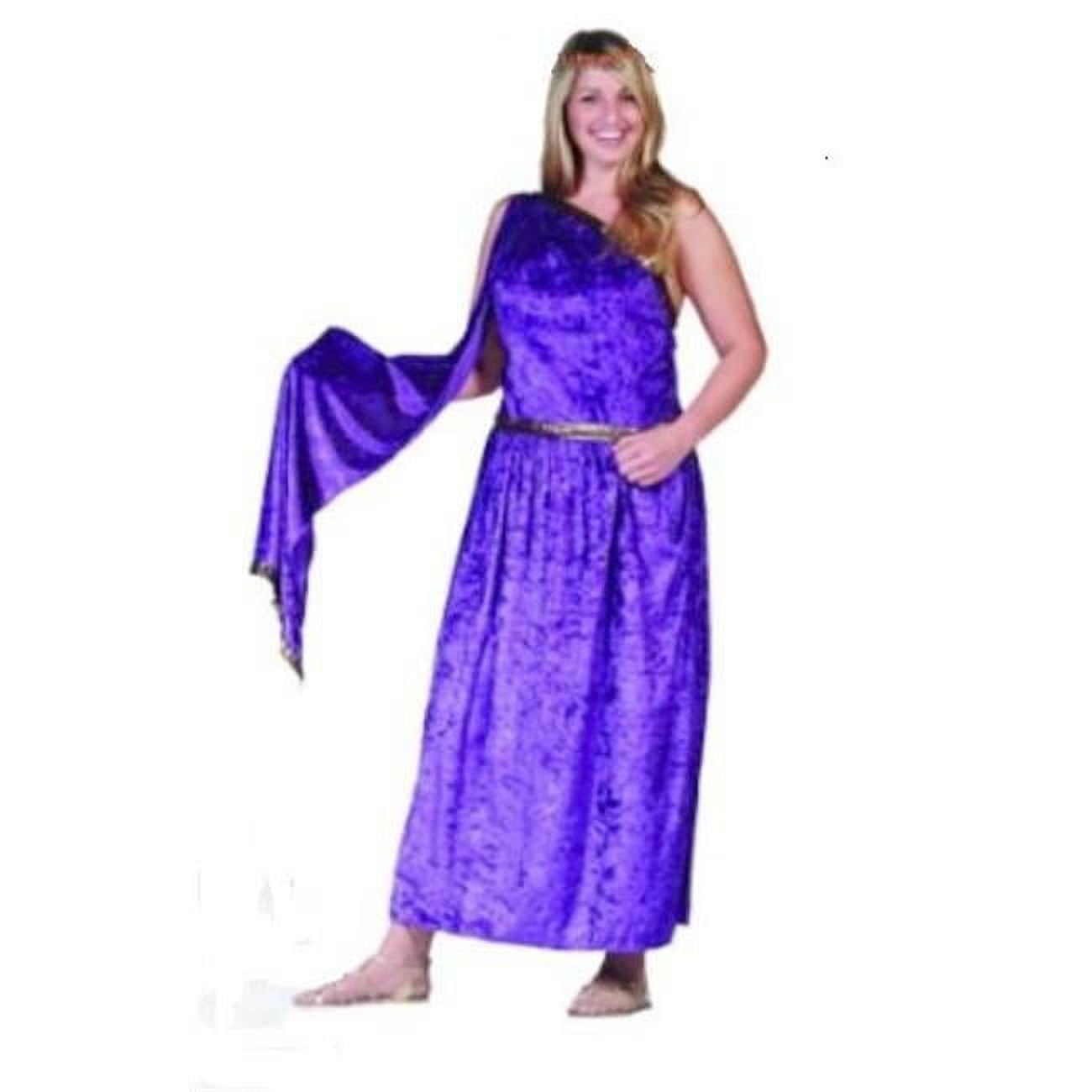 Female Toga Costume - Purple - Size Ladies Plus 16-20 - Walmart.com