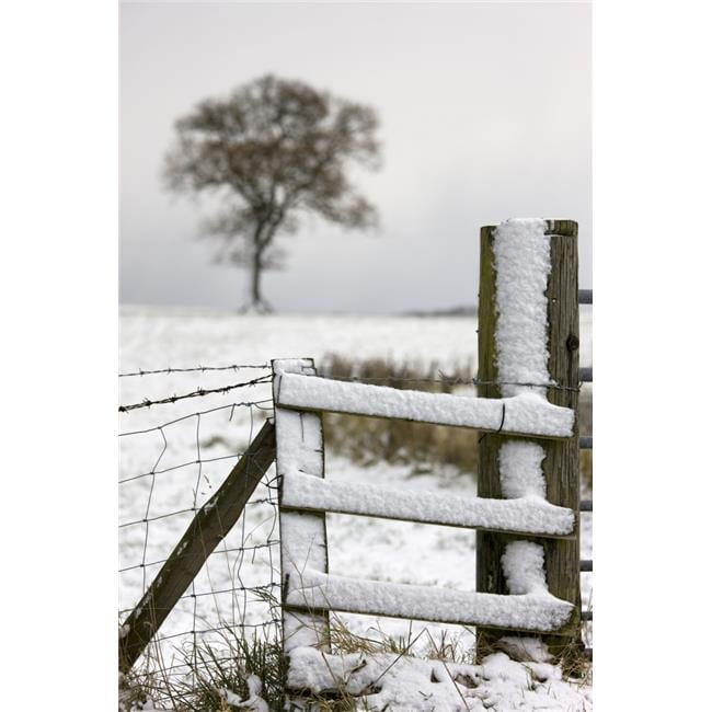 Fence in Winter Poster Print - 12 x 18 - Walmart.com