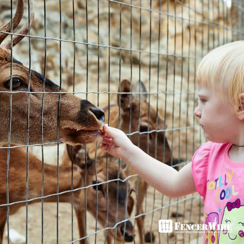 Fencer Wire 12.5 Gauge Galvanized Welded Wire 2 Inch by 4 Inch Mesh ...