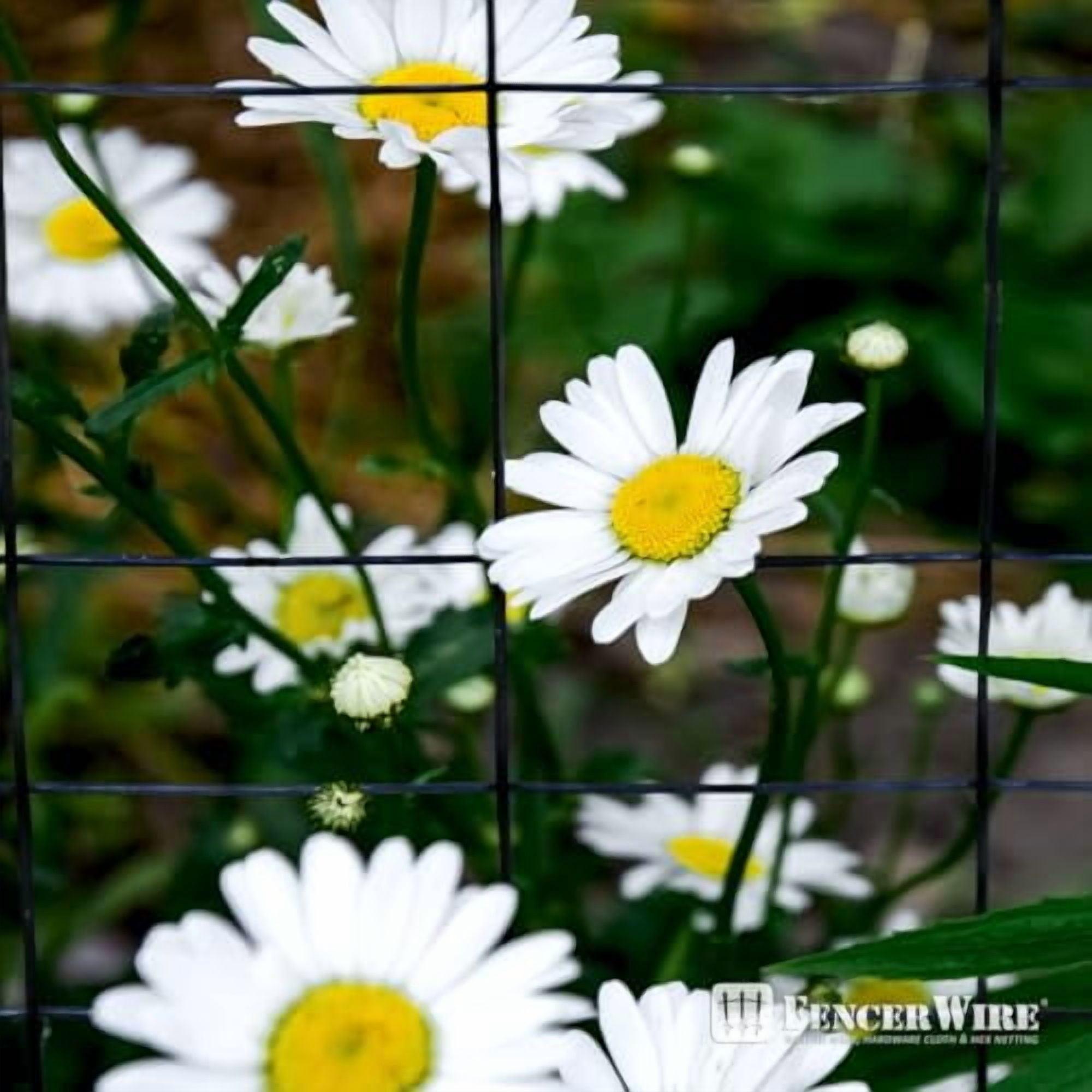 Fencer Wire Black Vinyl Coated 16 Gauge Rabbit Guard Fence, Poultry ...